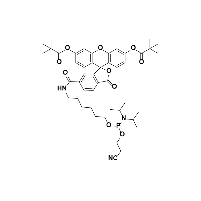 5'-Fluorescein CE Phosphora- midite (6-Fam Amidite) - 北京海精高创科技有限公司