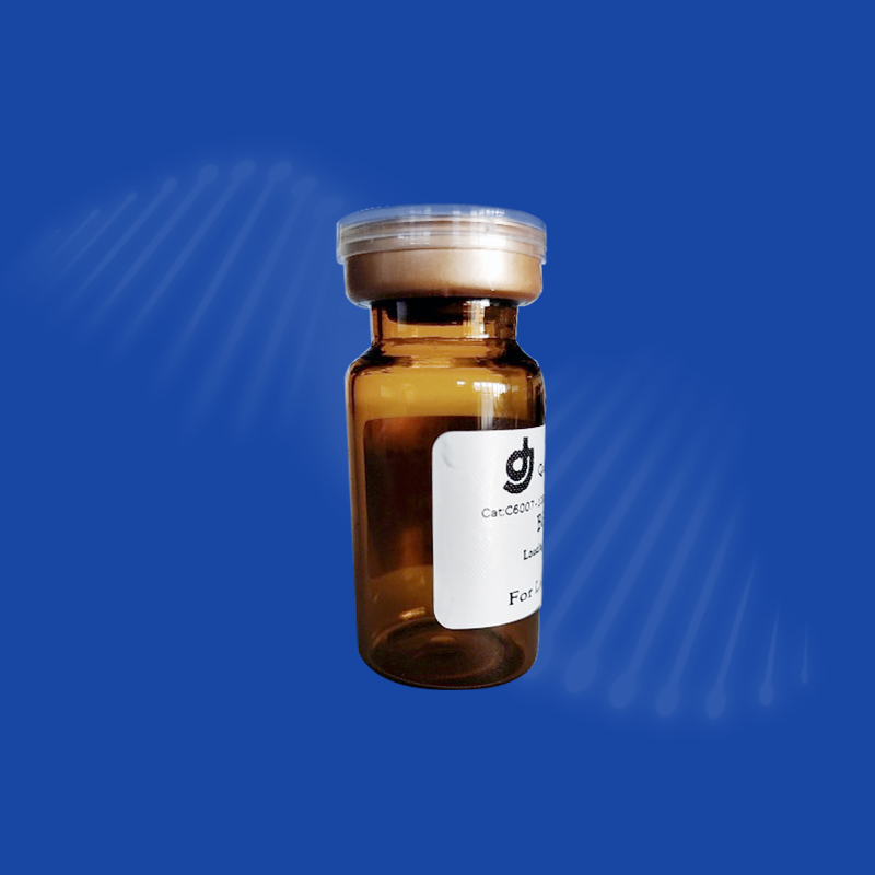 3'-(6-Fluorescein) CPG (C3-Fam CPG)
